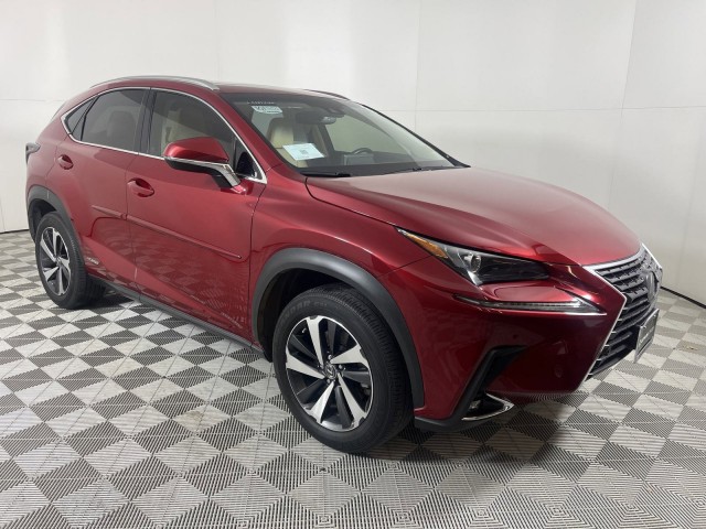 Certified Pre-Owned 2019 Lexus NX NX 300h Sport Utility in Omaha #NXH207A | Baxter Auto Group