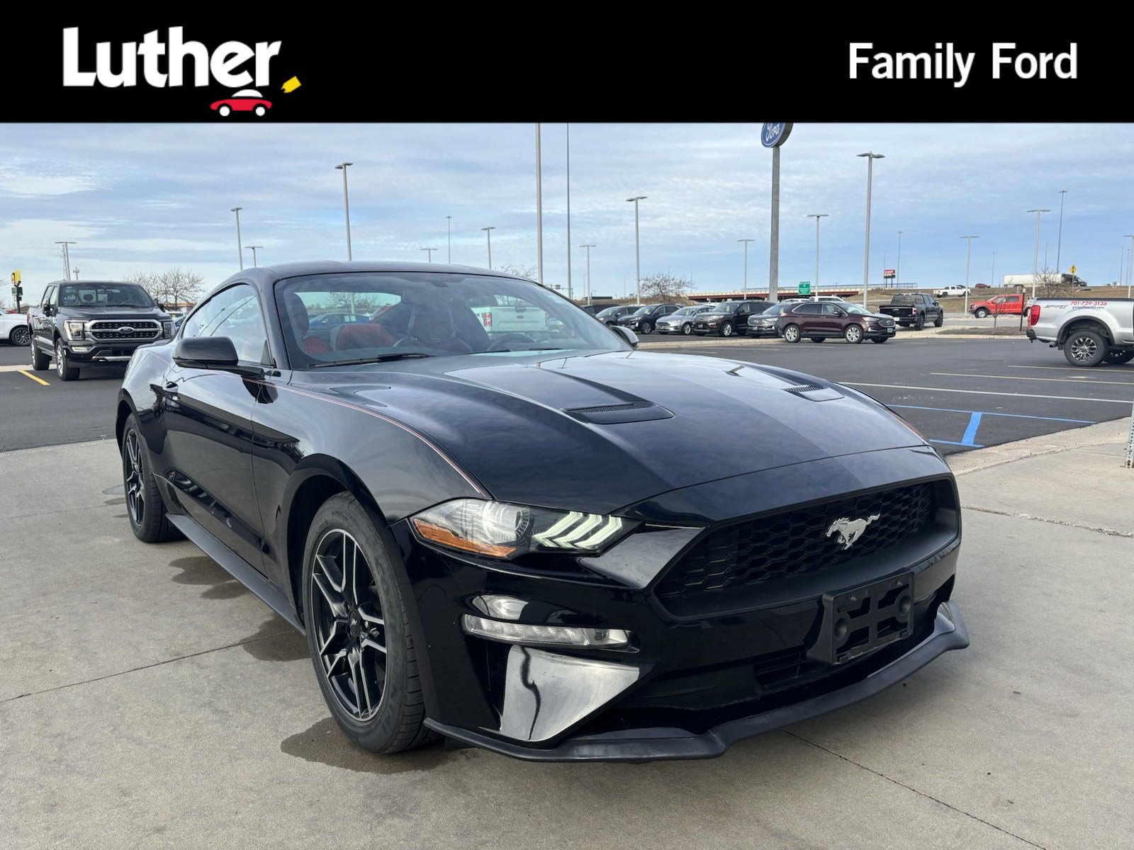 Pre-Owned 2019 Ford Mustang EcoBoost Premium 2 Door Coupe in Fargo # ...