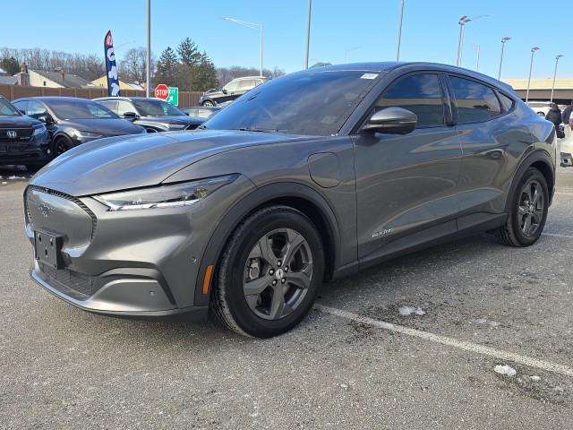 Pre-Owned 2021 Ford Mustang Mach-E Select Sport Utility in Clifton ...