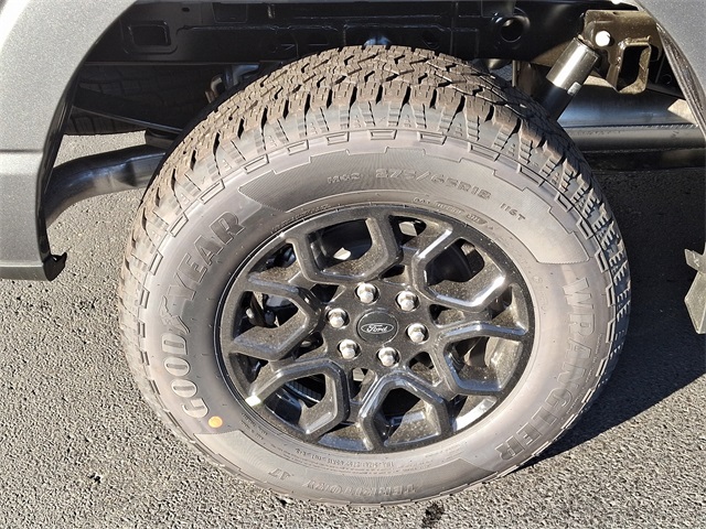 New 2025 Ford F-150 XLT 4D SuperCrew in Maple Shade #SKD75390 | Holman ...