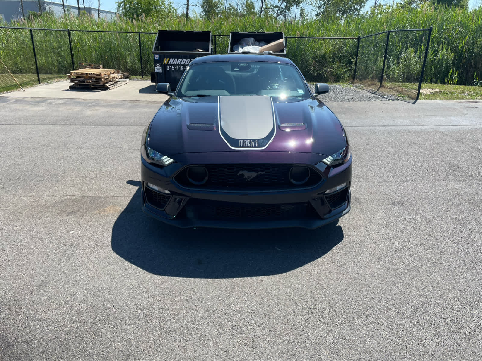 Pre-Owned 2022 Ford Mustang Mach 1 2dr Car in Hamilton #F24967B ...