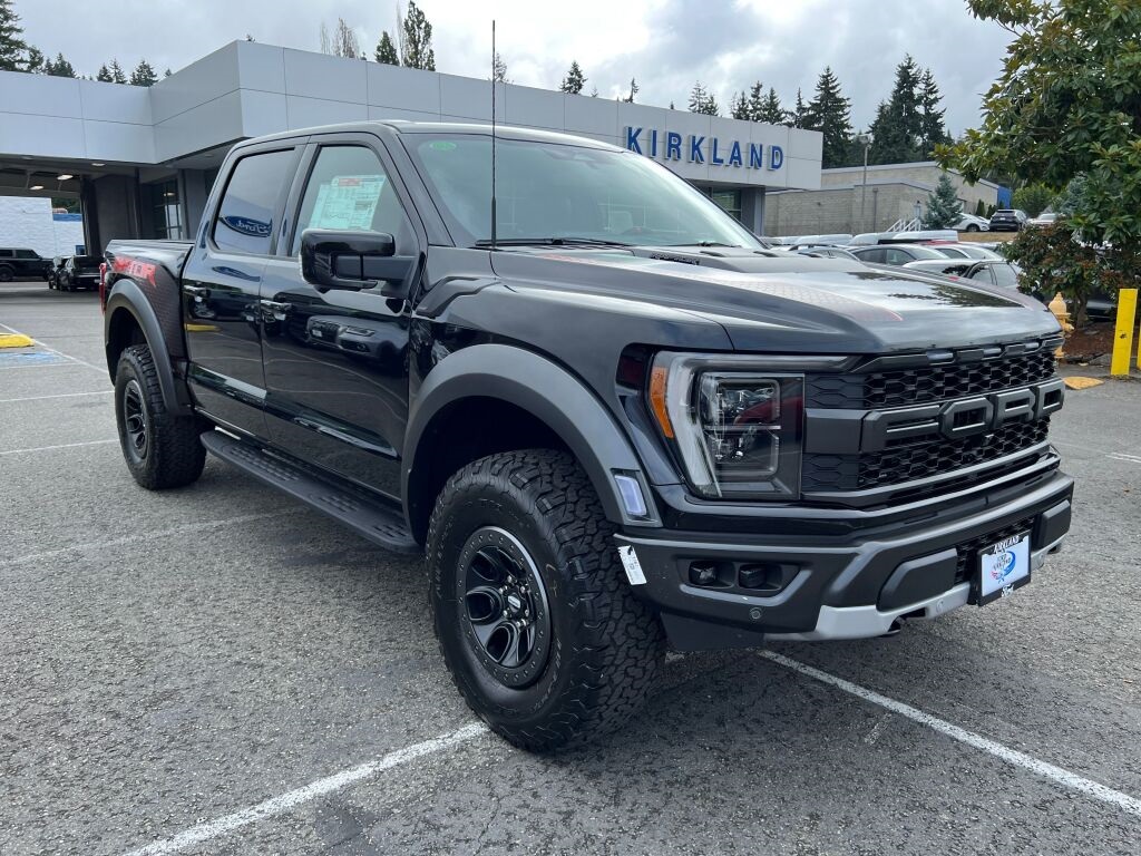 Ford Trucks Raptor Black