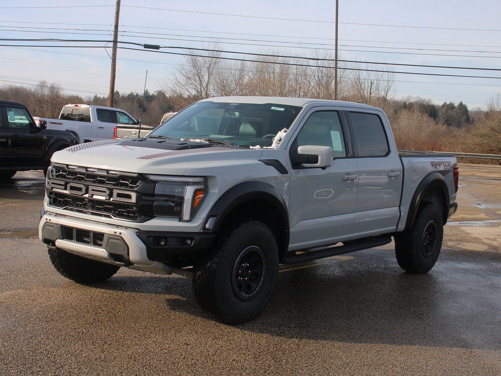New 2024 Ford F-150 Raptor® SuperCrew® in Edinboro #N4191 | Champion ...