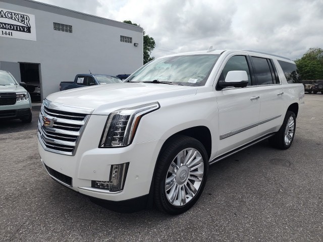 Used 2020 Ford Escalade ESV Platinum For Sale Royal Palm Beach FL ...
