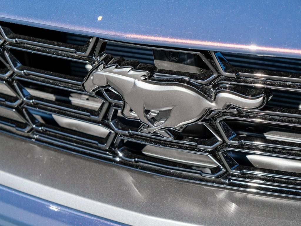 New 2024 Ford Mustang Dark Horse Fastback in San Diego #1240824 ...