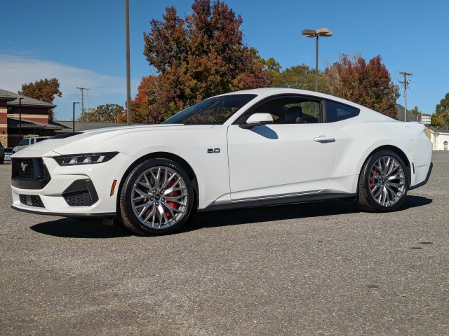 New 2024 Ford Mustang GT Premium Fastback Fastback in Shelby #C930114 ...