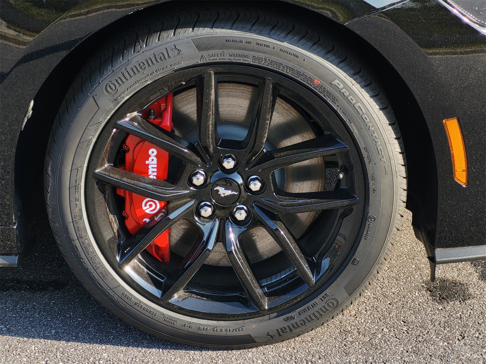 New 2025 Ford Mustang GT Fastback Fastback in Seneca #10105 | Lake ...