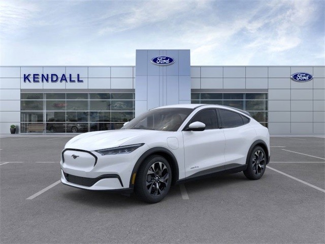 Mustang electric for sale store