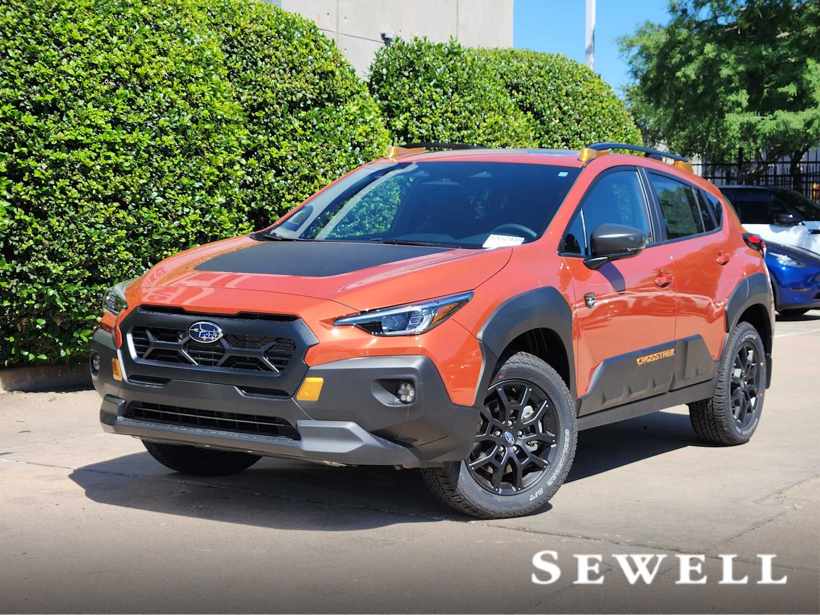 New 2025 Subaru Crosstrek Wilderness Sport Utility in #5352939 | Sewell ...