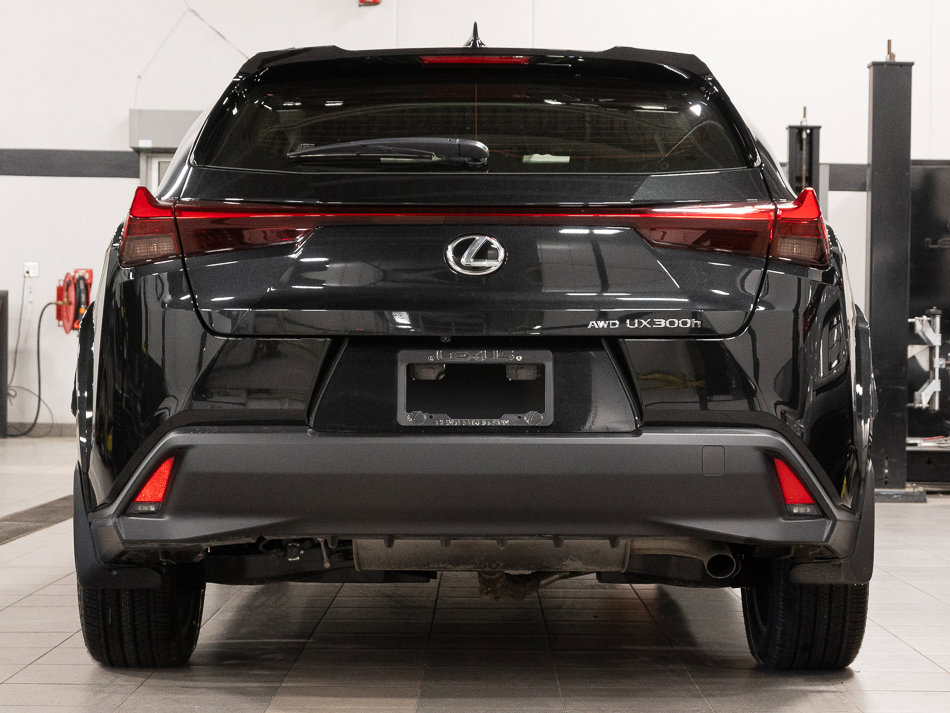 2025 Lexus UX 300h Premium Sport Utility in Kelowna #L25121 | Lexus of ...