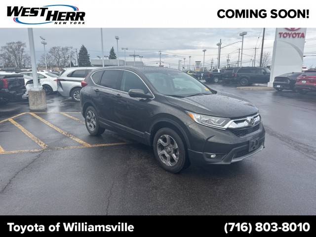 Pre-Owned 2019 Honda CR-V EX 4D Sport Utility in Lockport #HL24Z196A ...