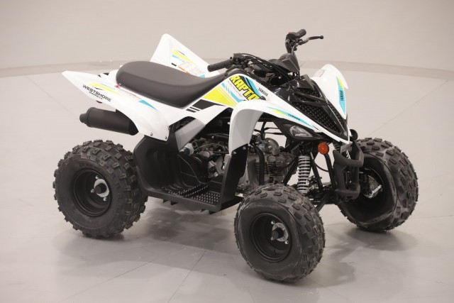 Pre-Owned 2021 YAMAHA RAPTOR 90 – YOUTH ATV WHITE ATV in Arborg #004118 ...