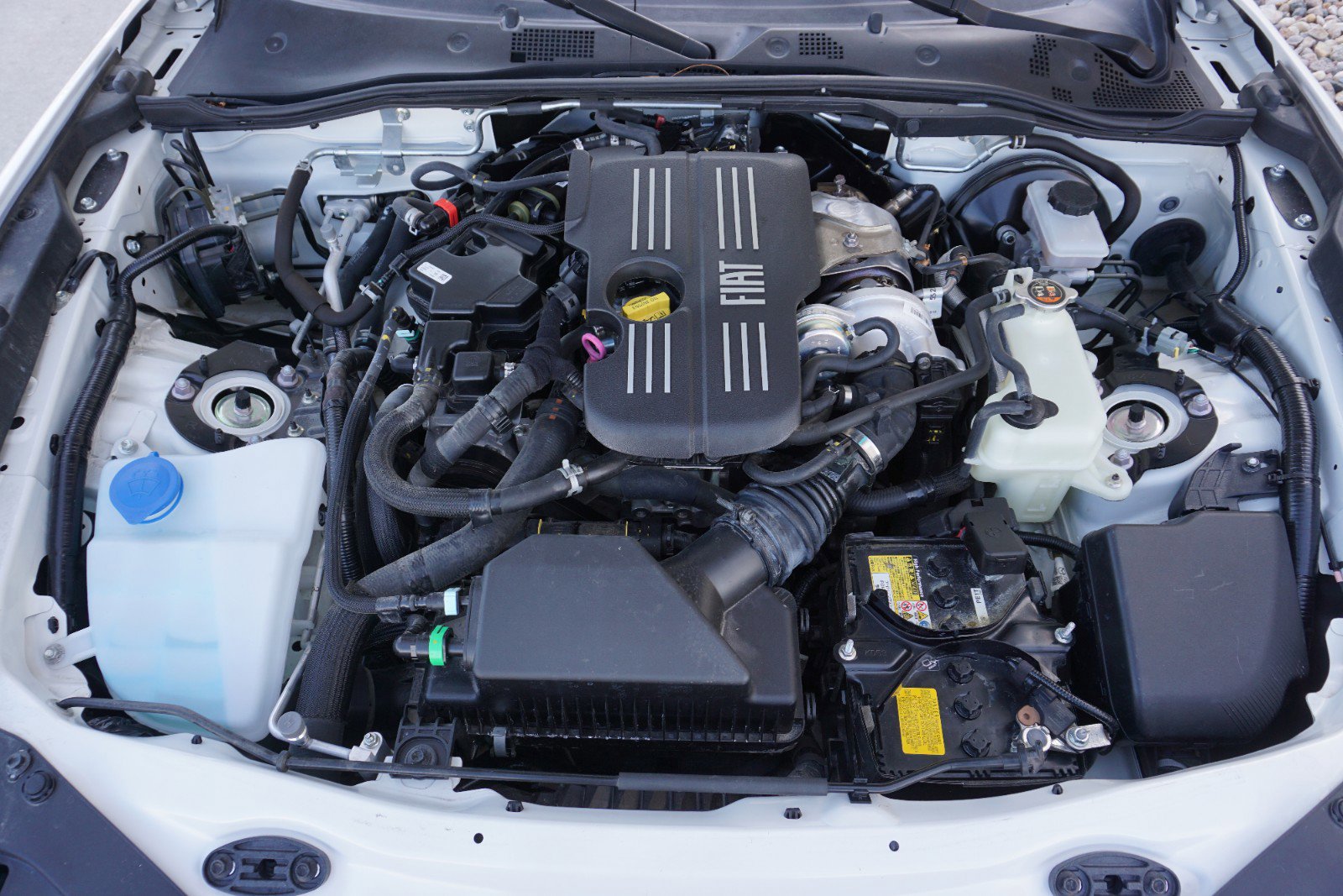 Pre-Owned 2019 FIAT 124 Spider Classica Convertible in Omaha #PA063486A ...