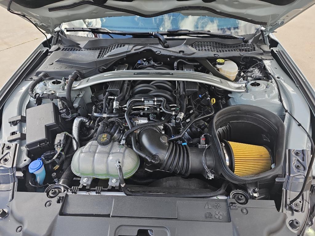 New 2023 Ford Mustang Mach 1® Premium Fastback in Brush #F30012 | Korf Ford